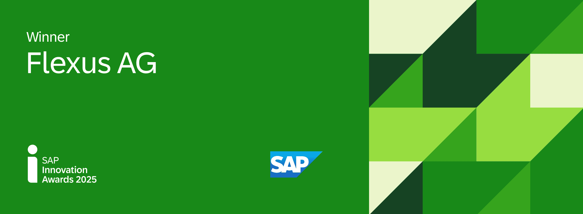 SAP Transportleitsystem ☑️ FlexGuide4 | FLEXUS